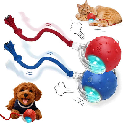 Interactive Motion Dog Toy – Self-Rolling Ball for Engaging Play and E ...