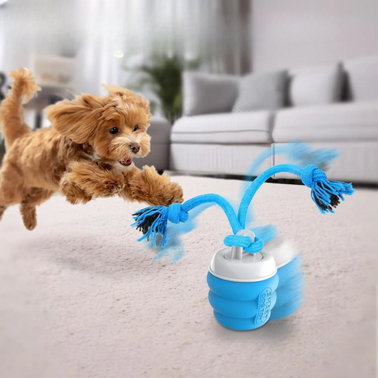 Interactive Smart Dog Ball – Rechargeable Pet Toy with Three Play Mode ...