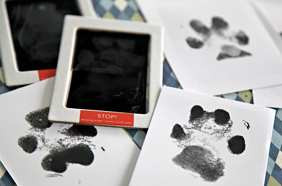 Pet Paw Print Ink Set – Non-Toxic Clean-Touch Ink Pad for Dogs and Cat ...