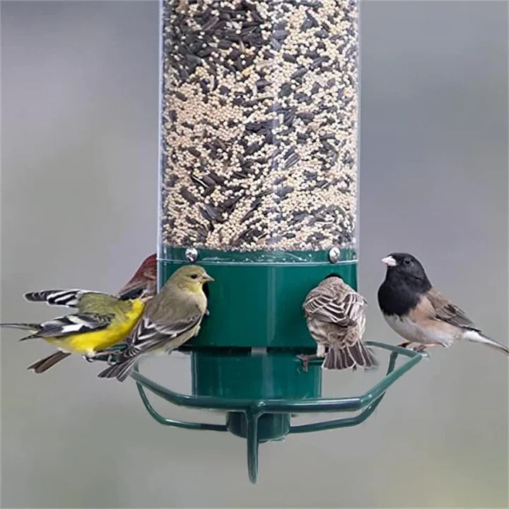 Squirrel Proof Bird Feeder with Durable Metal Cage Design – Large Capa ...