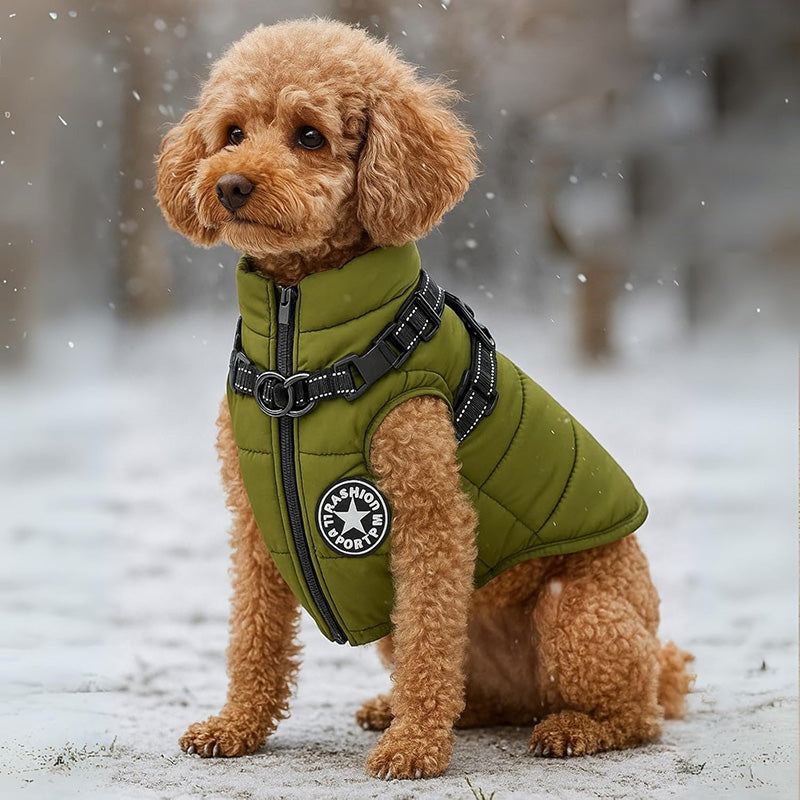 Waterproof Dog Jacket for Winter with Built-in Harness – Cozy and Styl ...